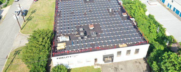 Fidelity Wallcoverings